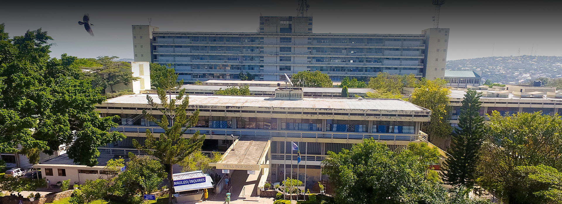 Organization Structure - MITU